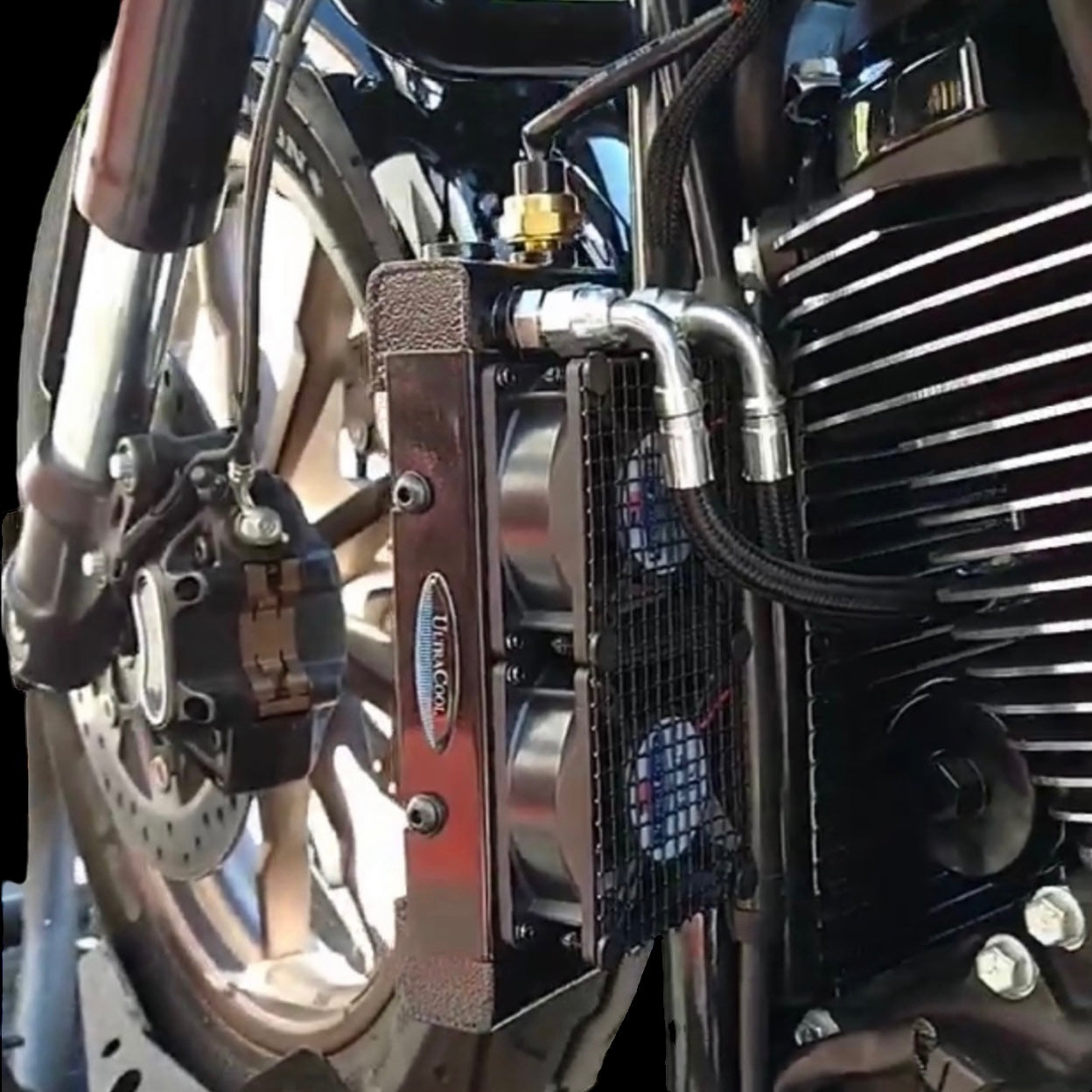 Harley ARP Bolt Kits by Bamco – Engine & Hardware Sets | SPEED-KINGS CYCLE